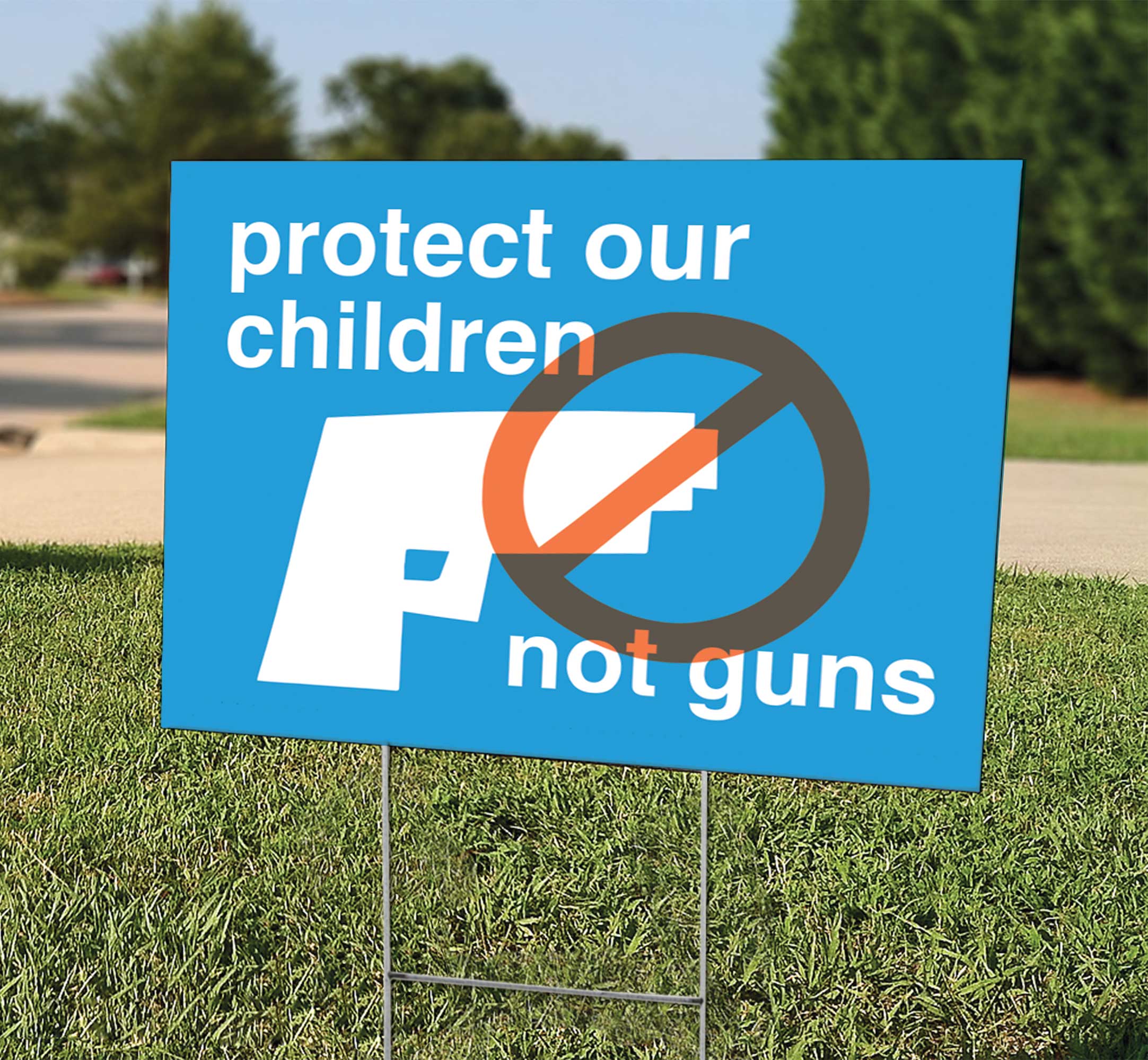 Protect Children Not Guns